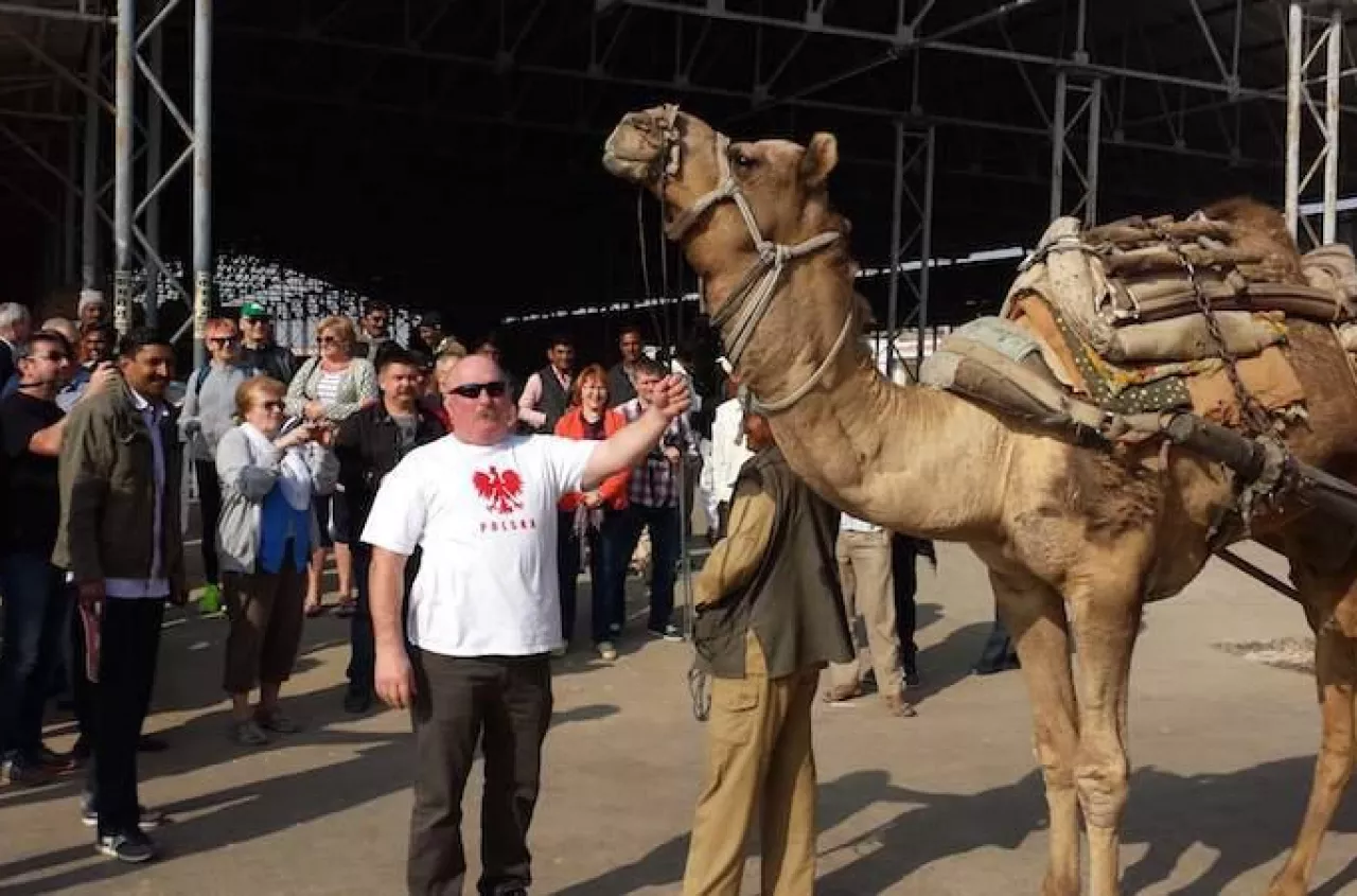 Polski rolnik na wielbłądzie
