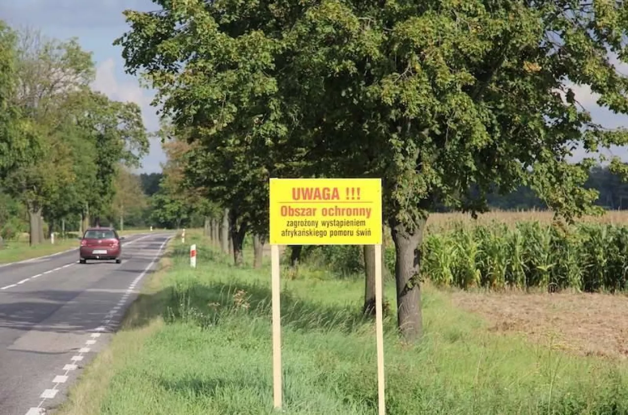 ASF: 41 ognisko w Polsce