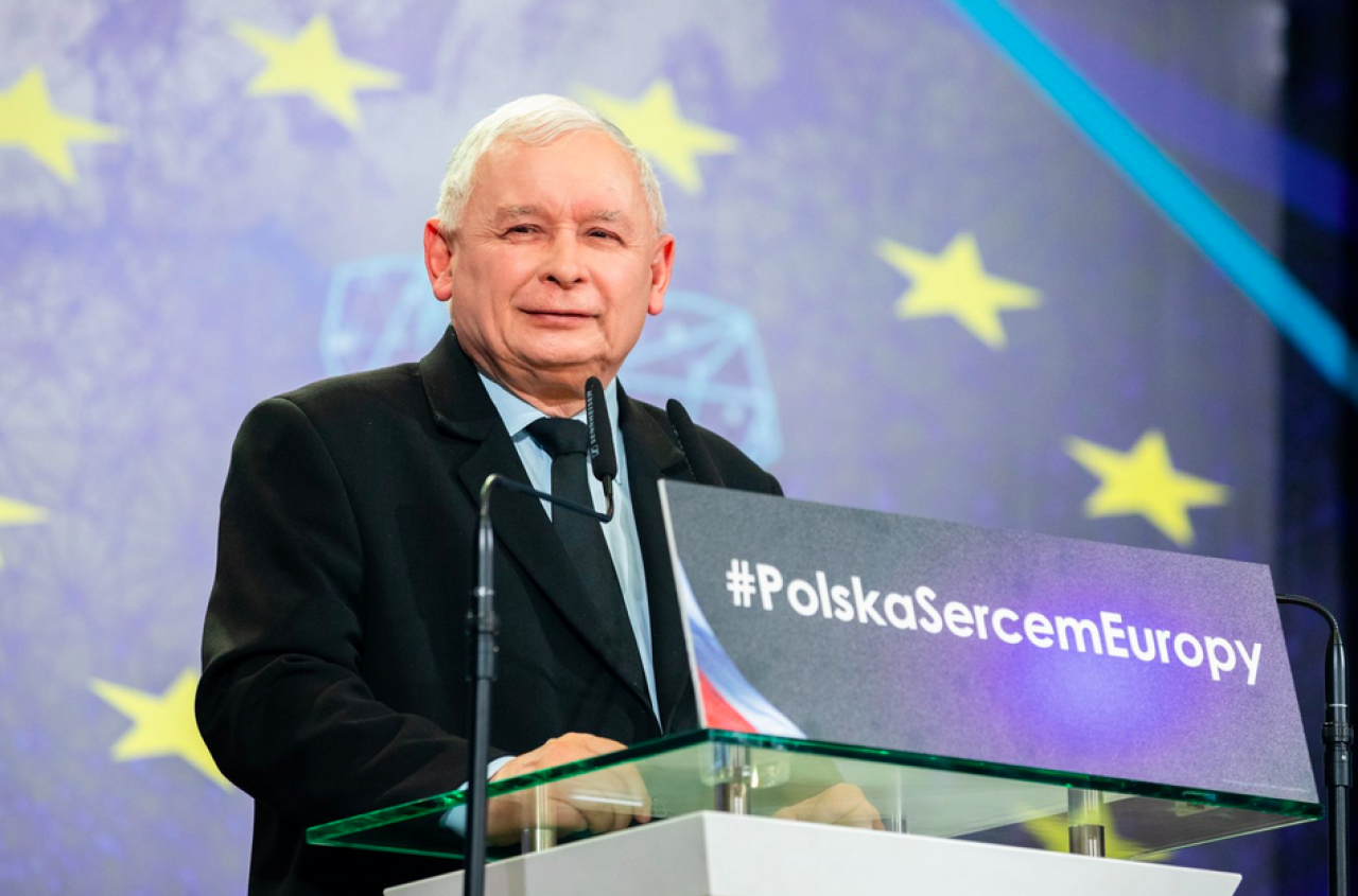 Krowa i świnia plus – prezes PiS wyjaśnia o co chodzi z dopłatami