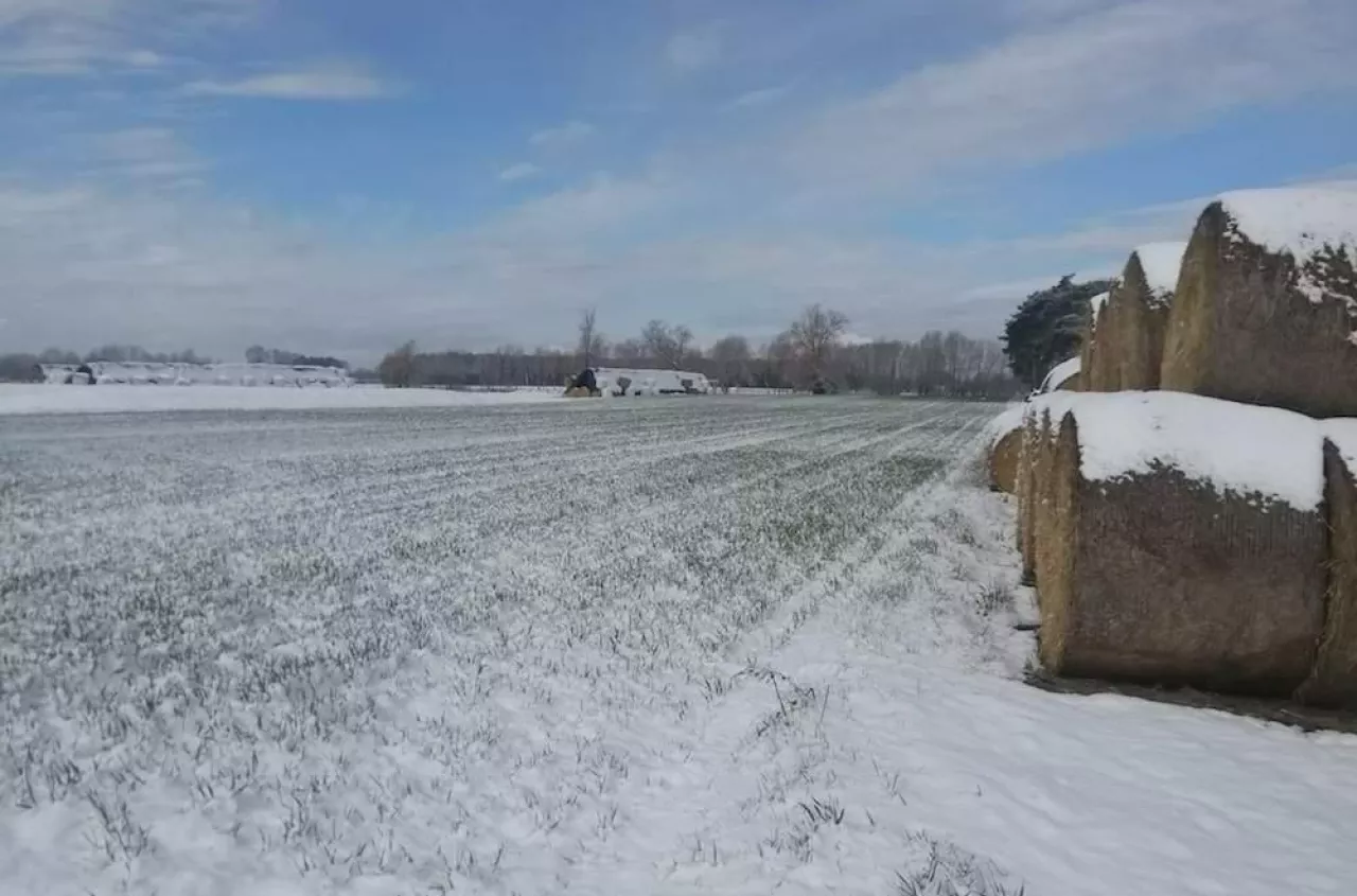 Piękna zima tej wiosny