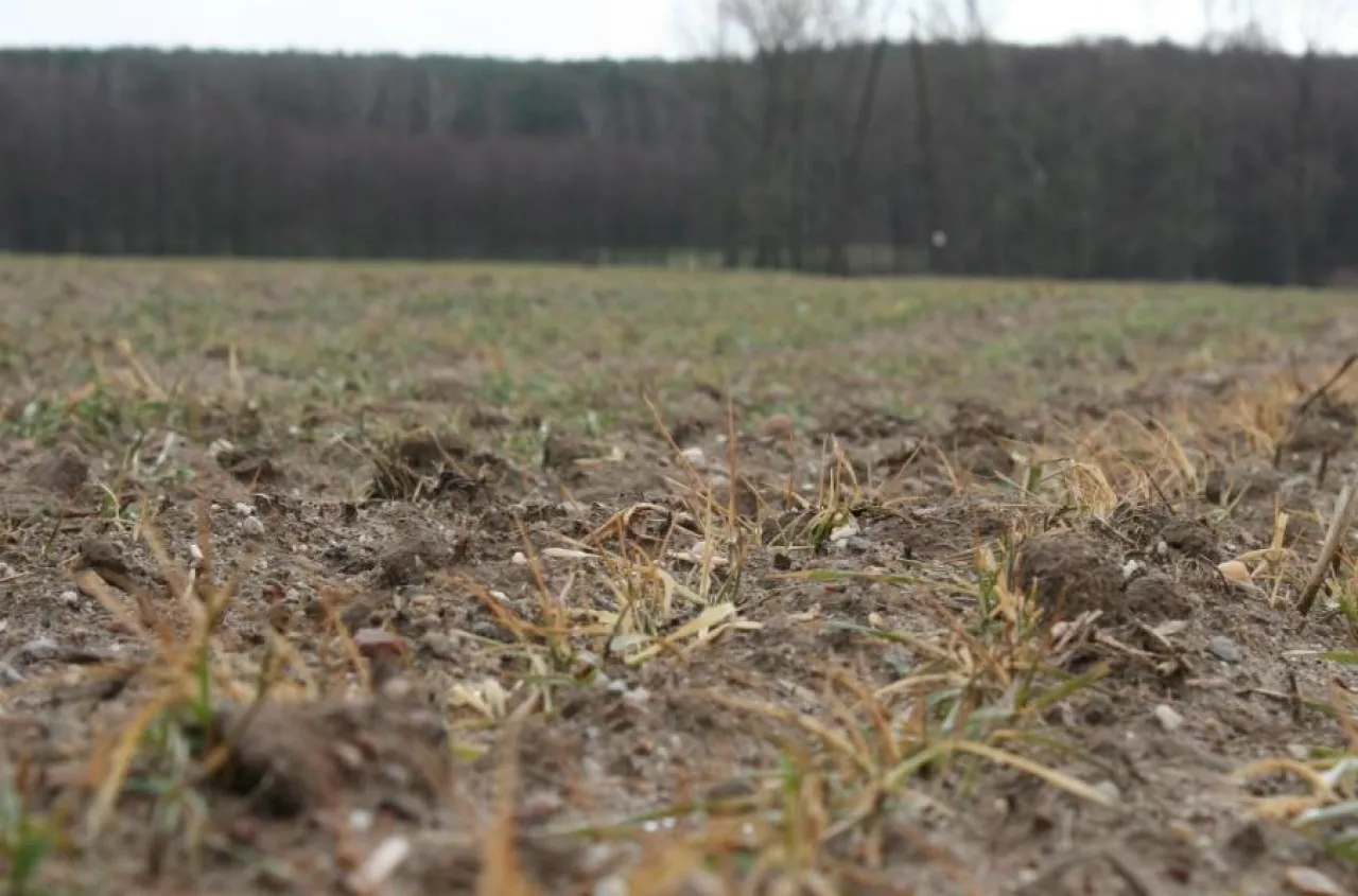 Kwartał pogodowo dość stabilny