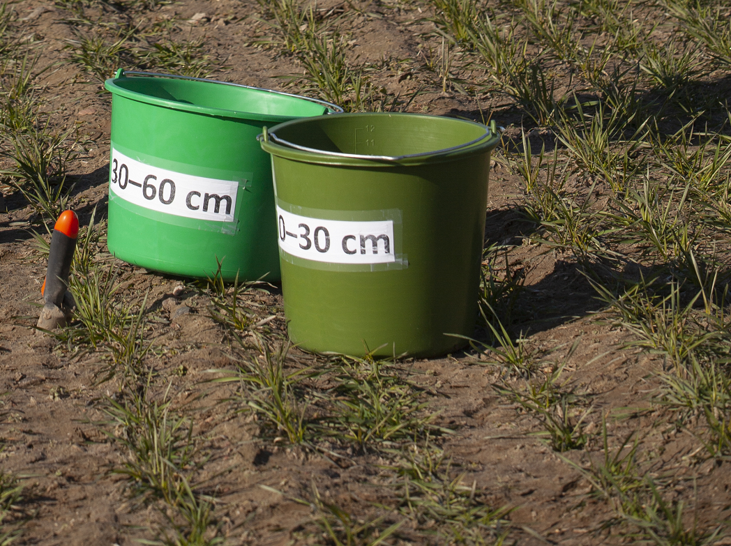 Jak ustalić dawkę azotu na podstawie wyników analizy gleby?