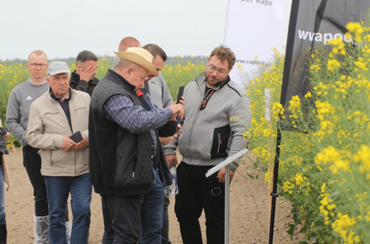 Akademia rzepaku z firmą Rapool