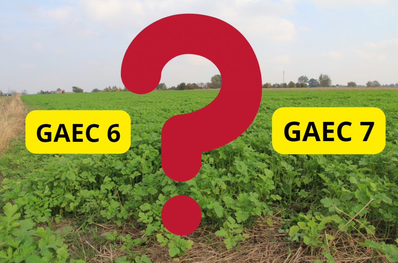 Dopłaty 2024: czy normy GAEC 6 i 7 będą obowiązywać?