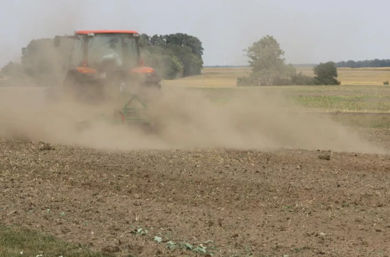 Susza powiększa swój obszar. Całe polskie rolnictwo zagrożone?