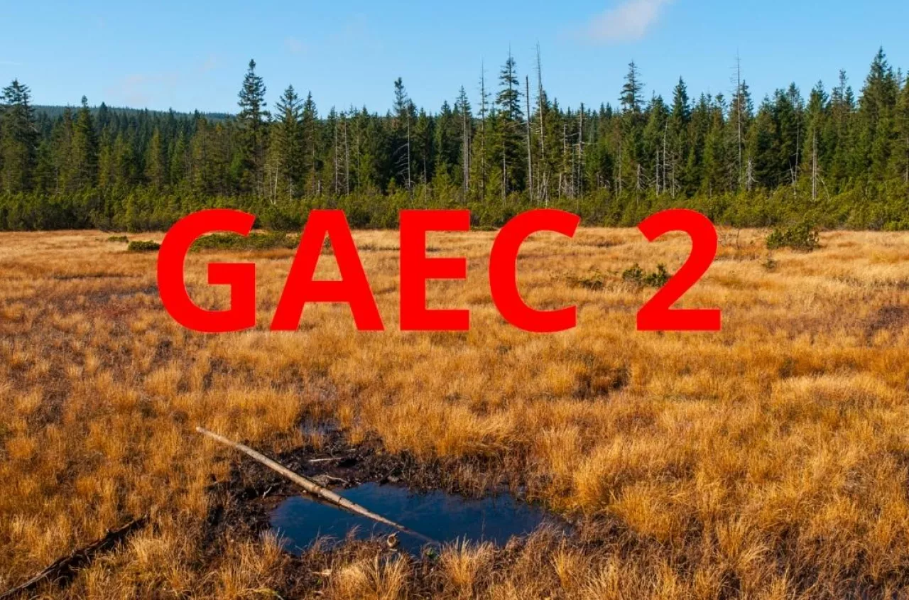 Norma GAEC 2 – MRiRW jednak nie planuje zalać 1 mln ha ziemi rolnej?