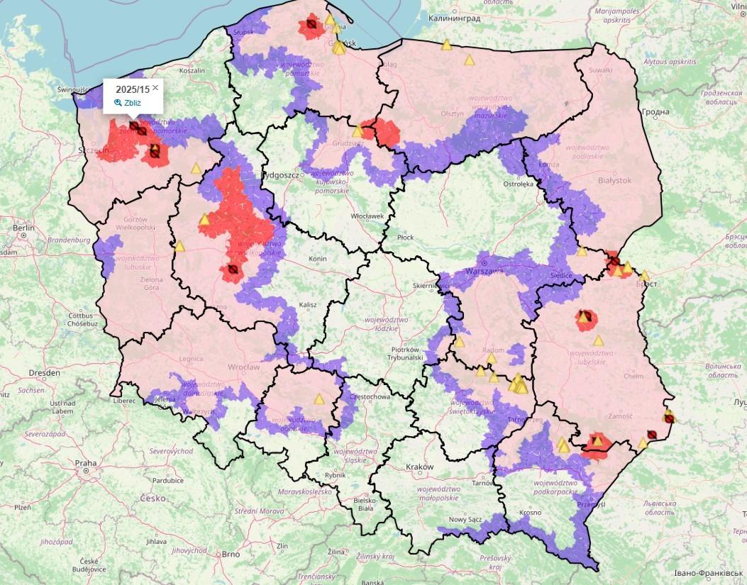 Ognisko ASF w woj. zachodniopomorskim. Gdzie tym razem?