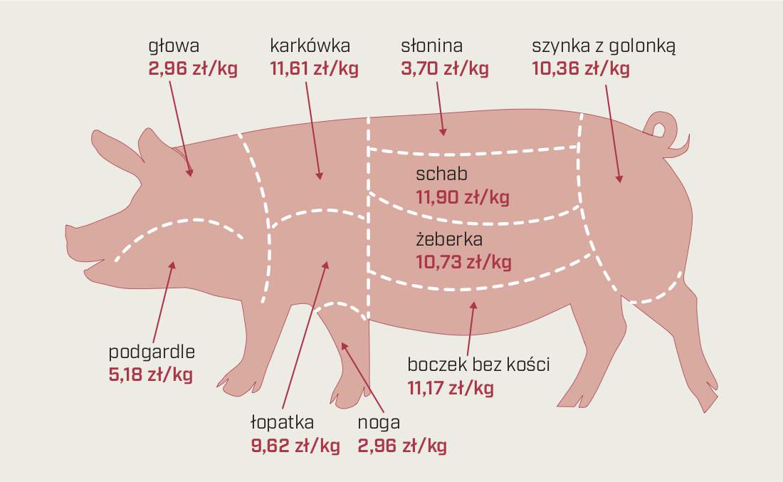 W elementach tucznik wart jest jeszcze raz tyle!